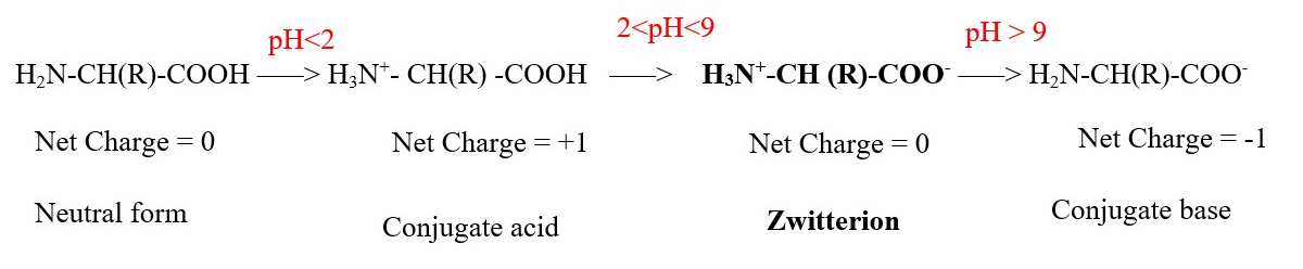 ACIDS , BASES , SALTS , BUFFER SOLUTIONS, pH and pI - Chemistry ACIDS , BASES , SALTS , BUFFER SOLUTIONS, pH and pI - Chemistry